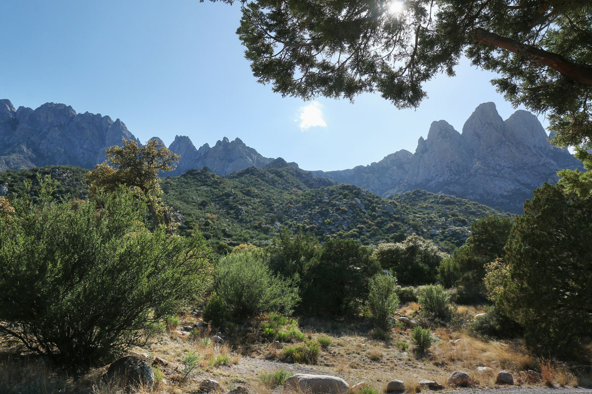 Hike Pine Tree Loop from Aguirre Spring in Lincoln National Forest ...
