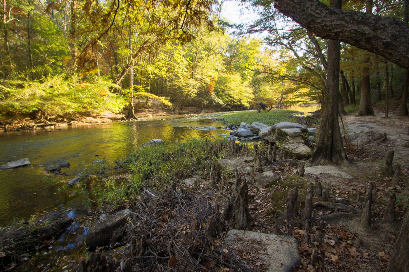 Hike CCC Camp and Outcroppings Loop in Tishomingo State Park - Stav is Lost