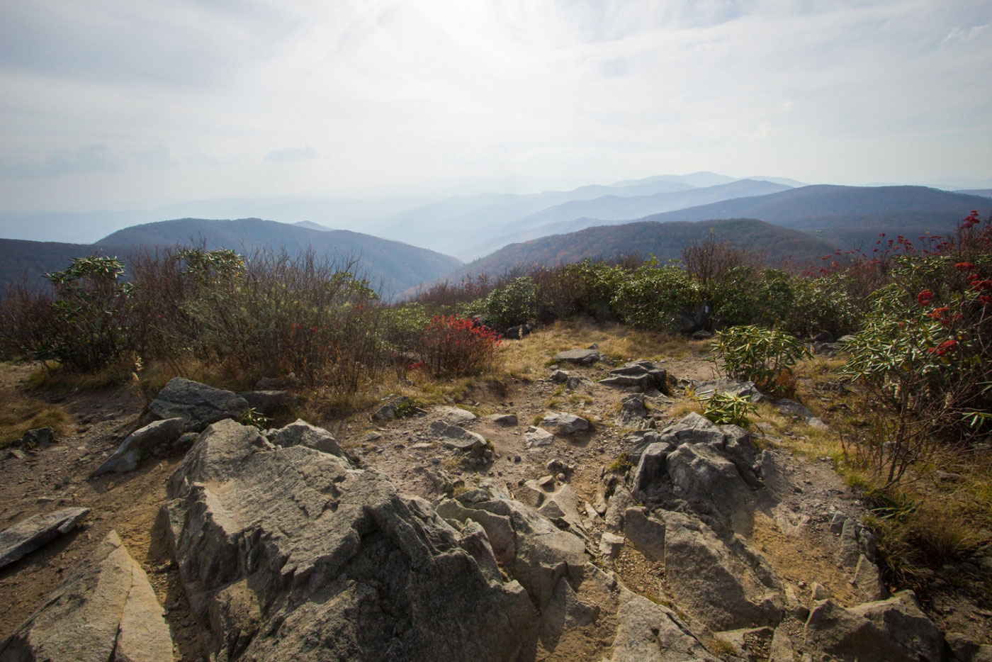 Hike Thunderhead Mountain via Russell Field Loop in Great Smoky ...