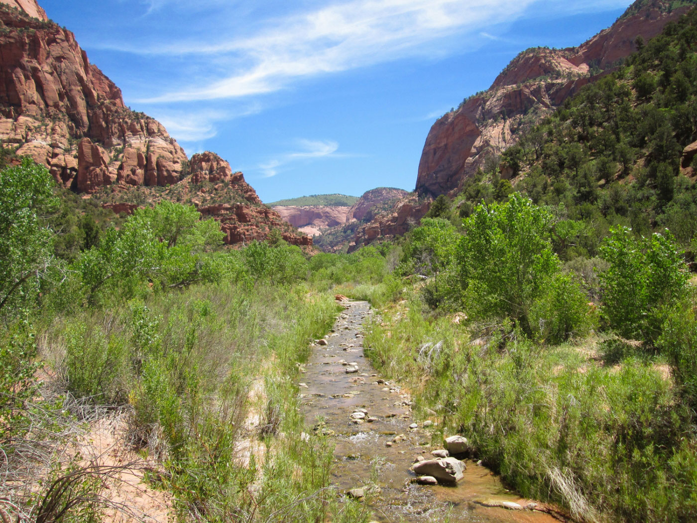Hike Kolob Arch via La Verkin Creek in Zion National Park - Stav is Lost