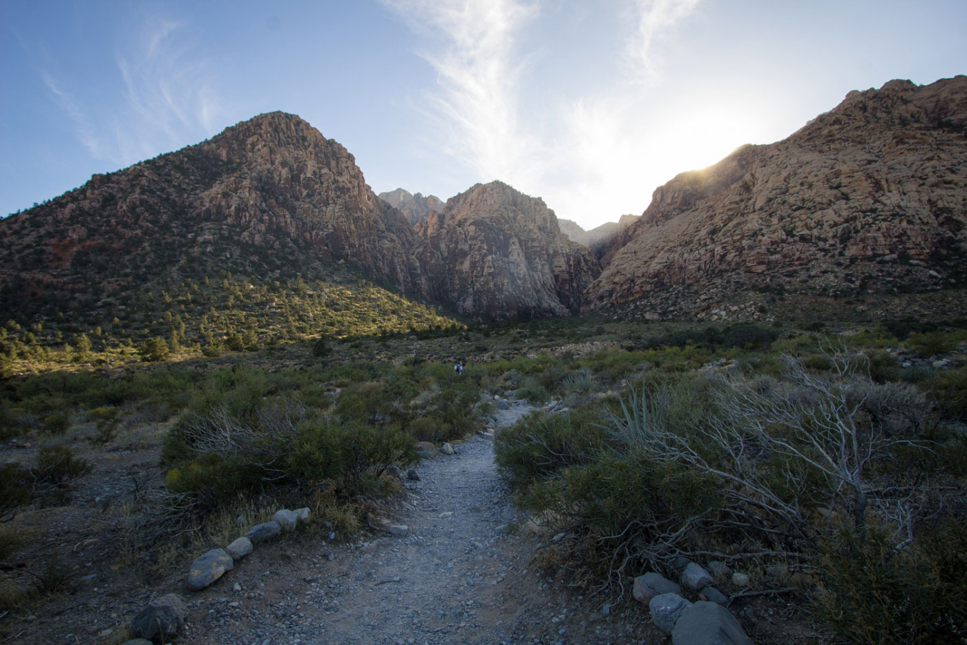 Hike Ice Box Canyon Waterfall in Red Rock Canyon National Conservation ...