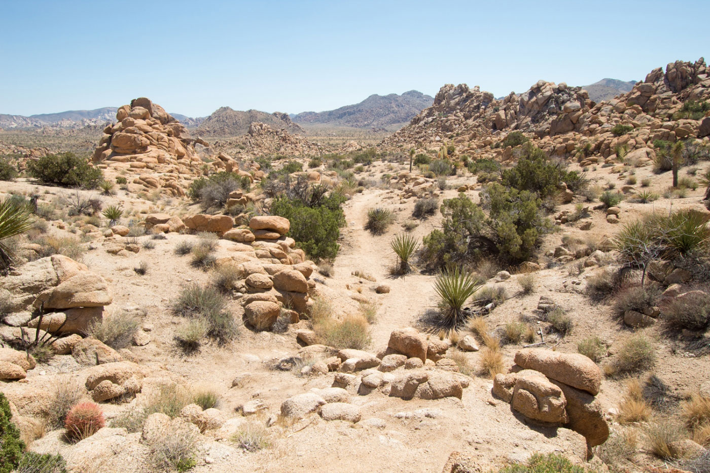 Hike North View, Maze, Window Rock Loop in Joshua Tree National Park ...