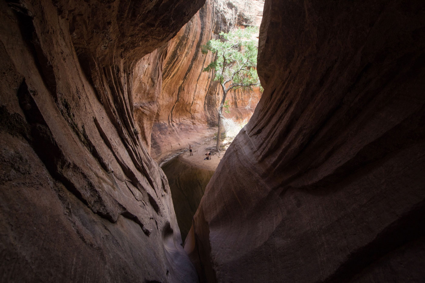 Hike Zero Gravity Canyon in San Rafael Swell BLM - Stav is Lost