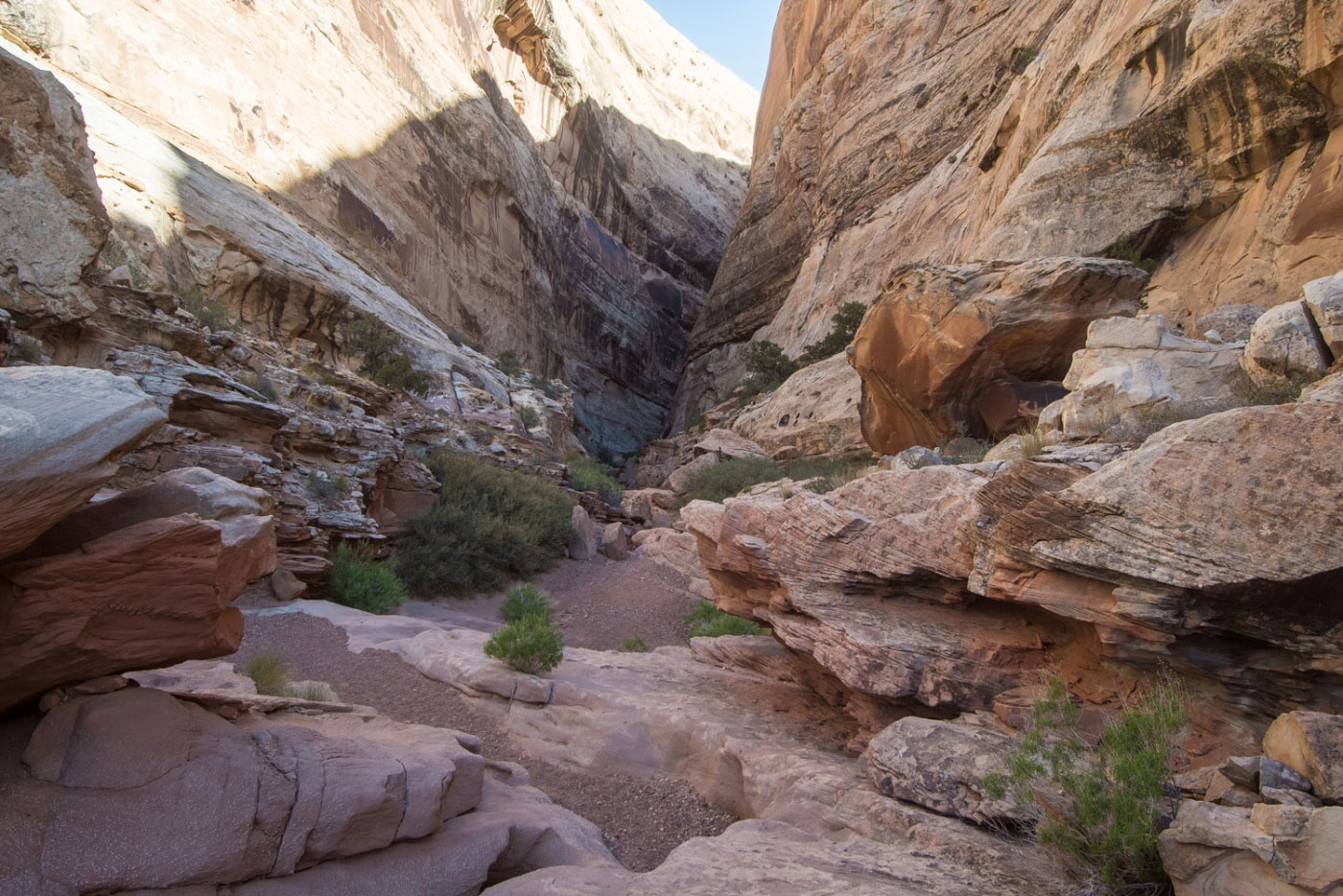 Hike Ding and Dang Canyons Loop in San Rafael Swell BLM - Stav is Lost