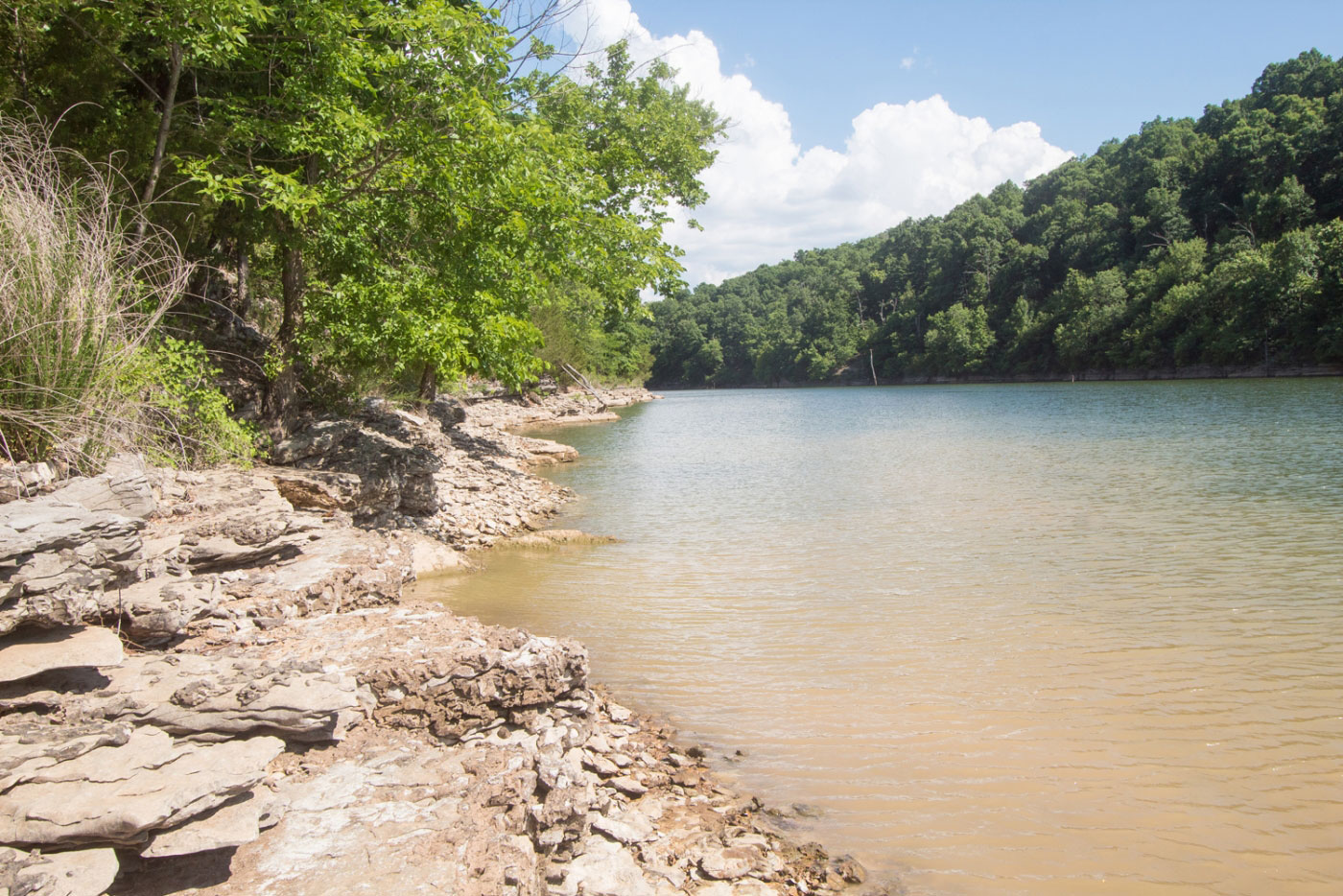 Hike Bashore Ridge Loop in Hobbs State Park - Stav is Lost