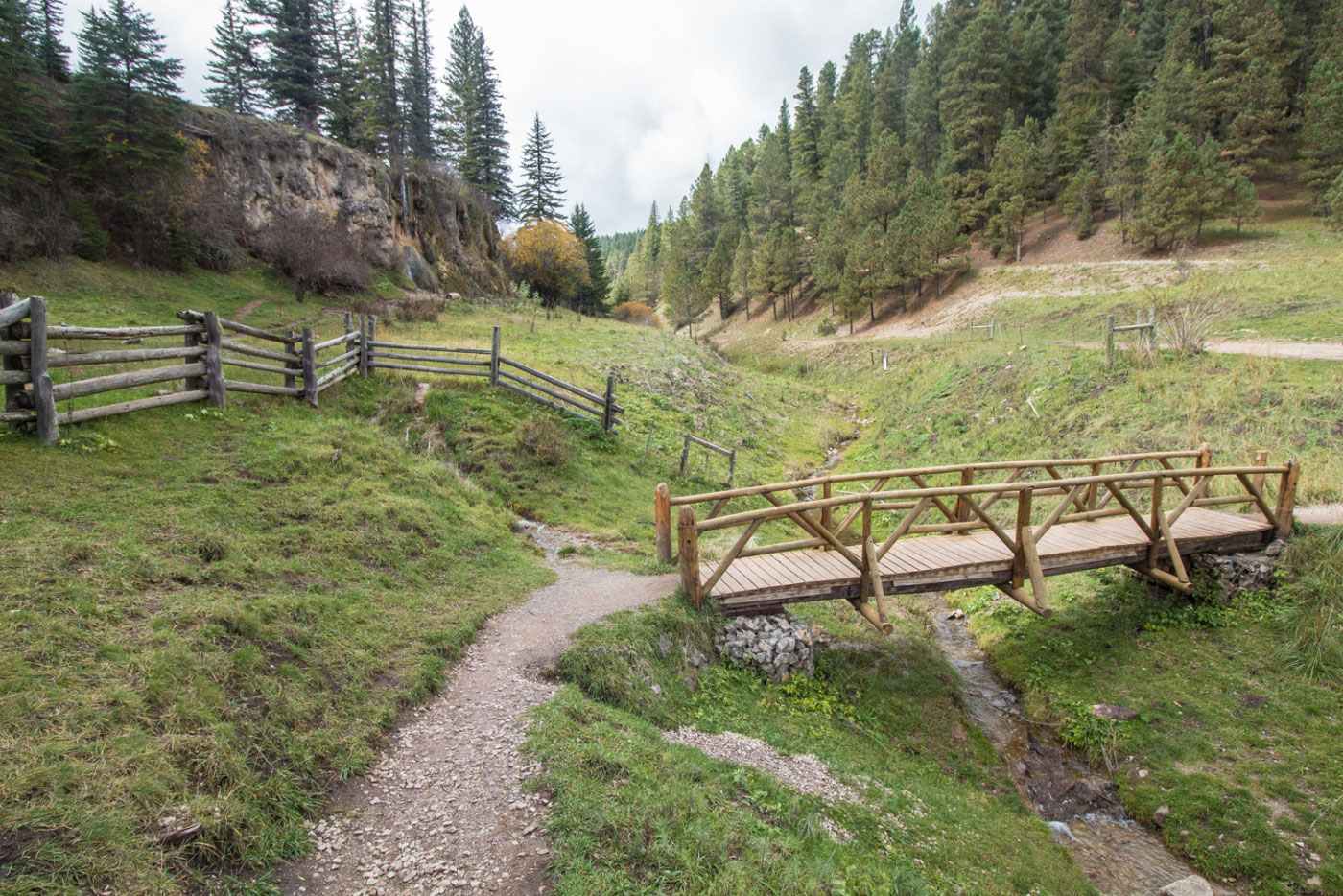 Hike Bluff Springs via Taylor Canyon Trail in Lincoln National Forest ...