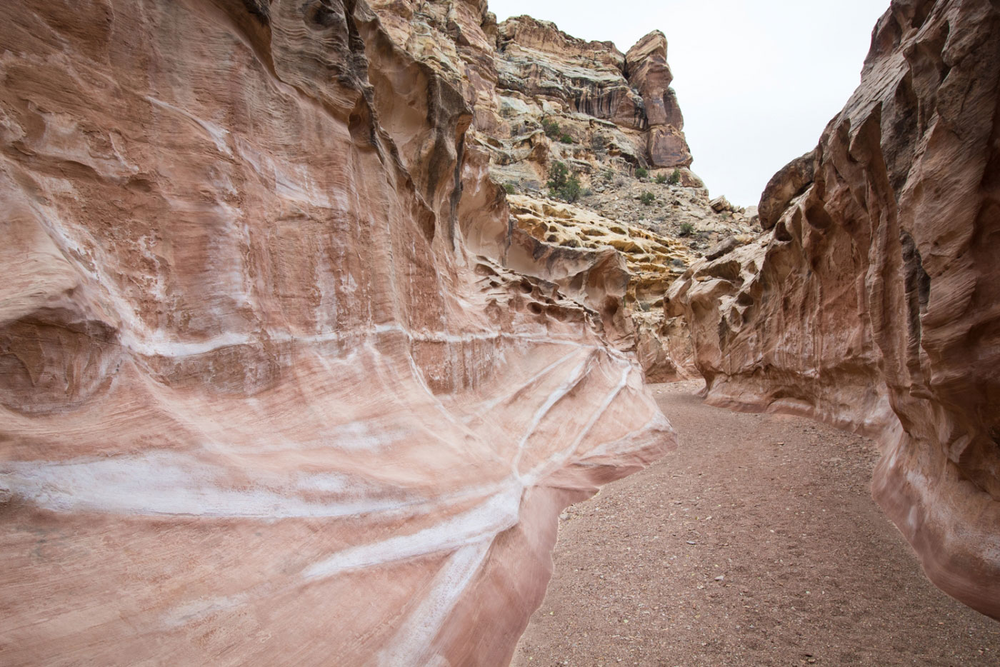 Hike Crack Canyon in San Rafael Swell BLM - Stav is Lost