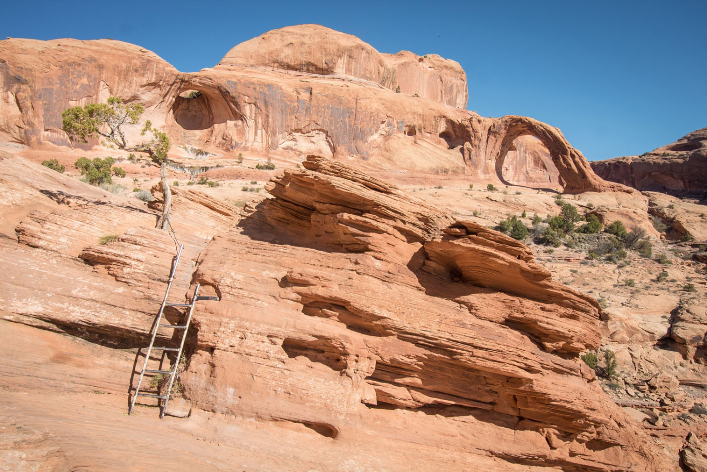Hike Corona Arch and Pinto Arch in Moab BLM - Stav is Lost