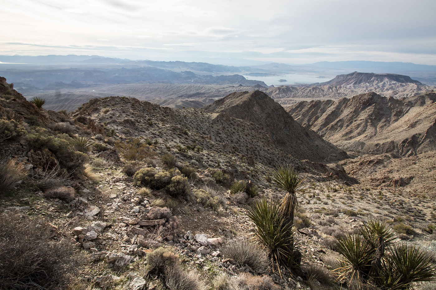 Hike Mount Wilson in Lake Mead National Recreation Area - Stav is Lost