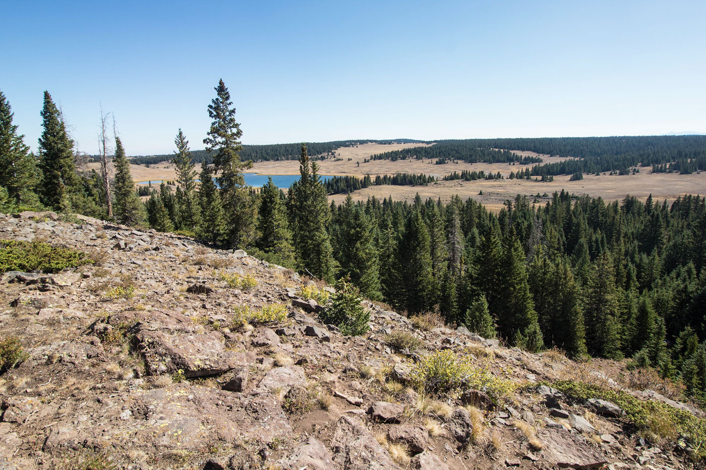 Hike Boulder Top (Bluebell Knoll) in Fishlake National Forest - Stav is ...