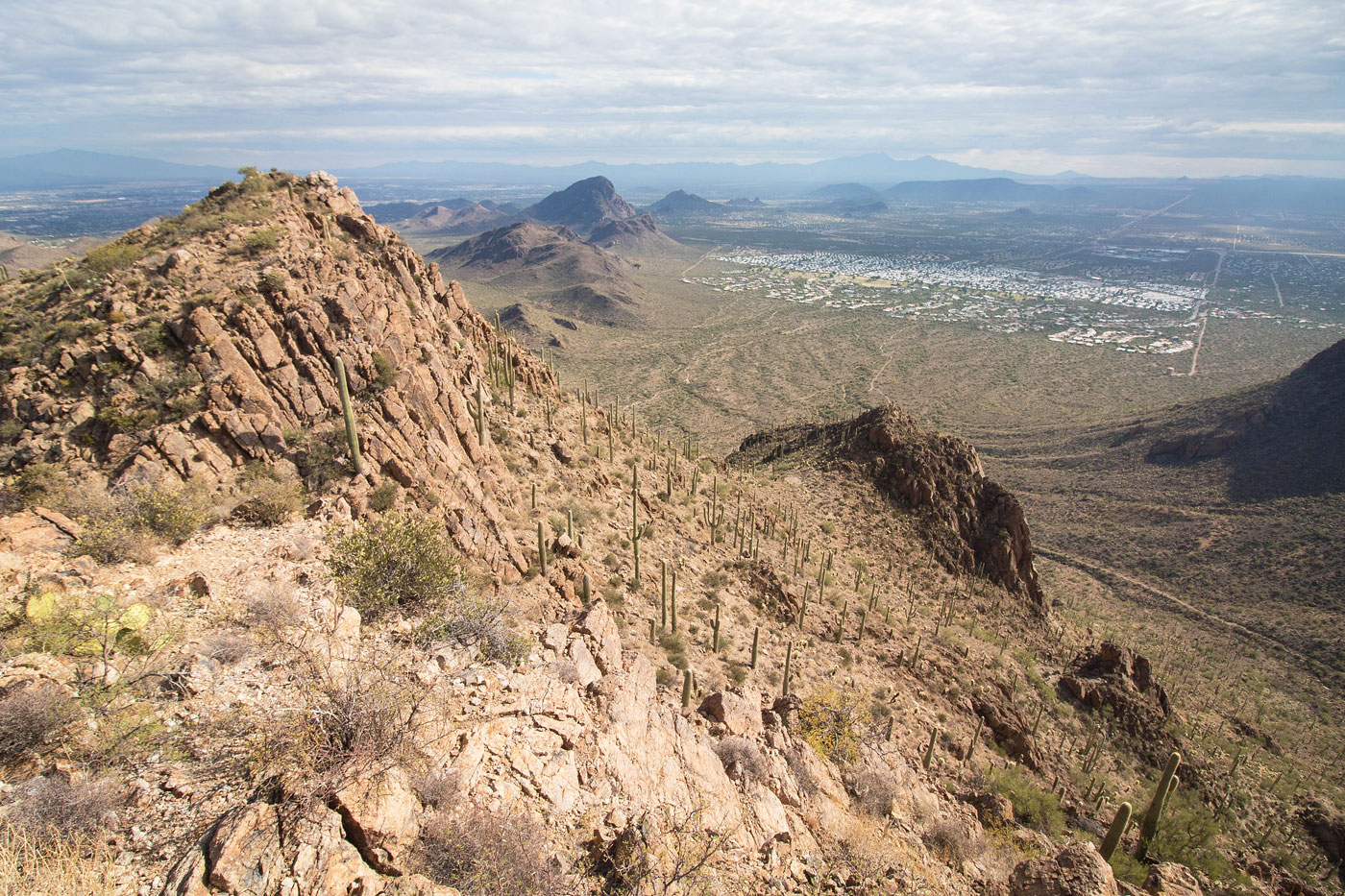 Hike Golden Gate Mountain and Bren Peak in Saguaro National Park - Stav ...