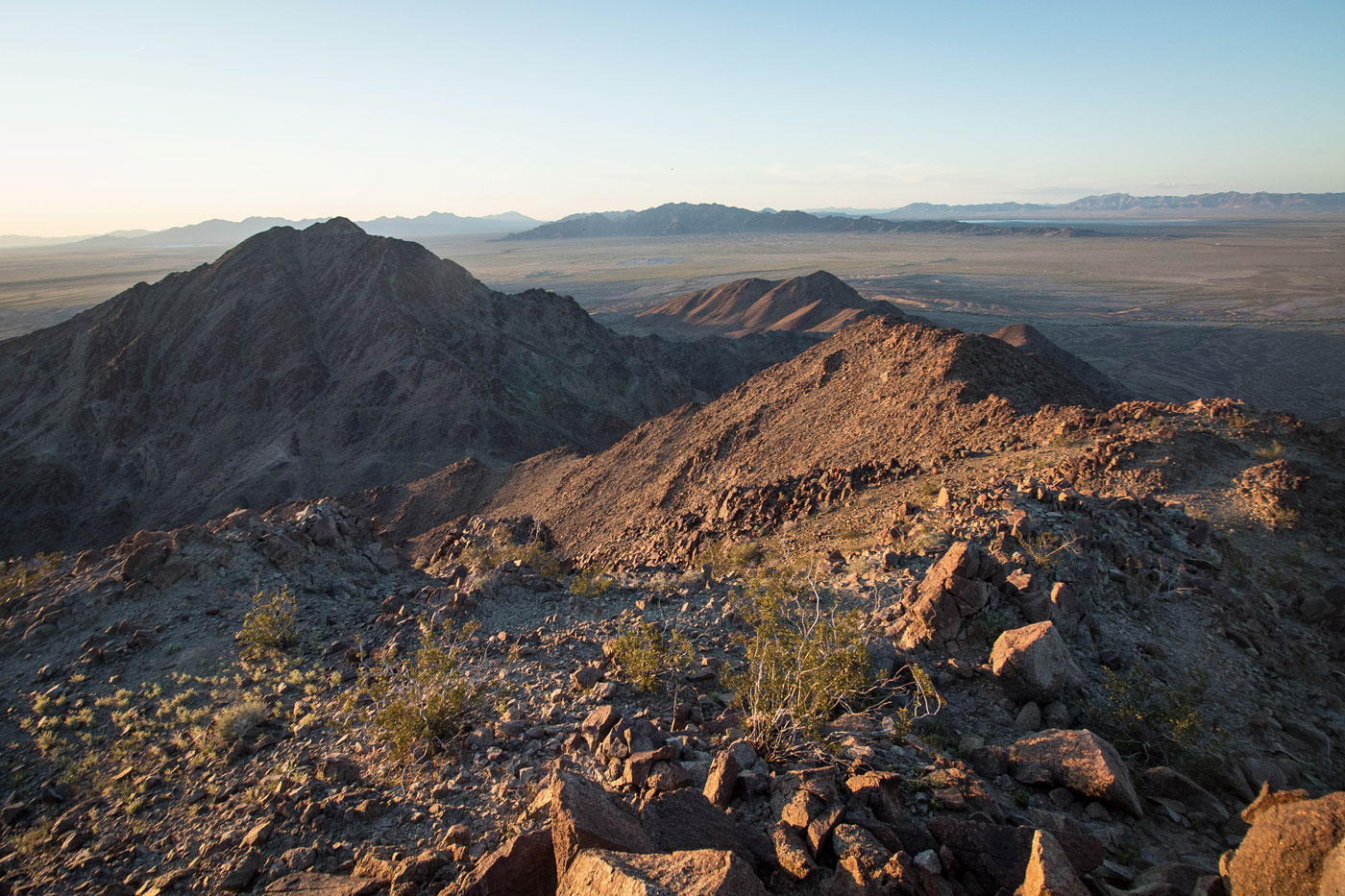 Hike Mule Mountain Benchmark and Mule Peak in Mule Mountains BLM - Stav is Lost