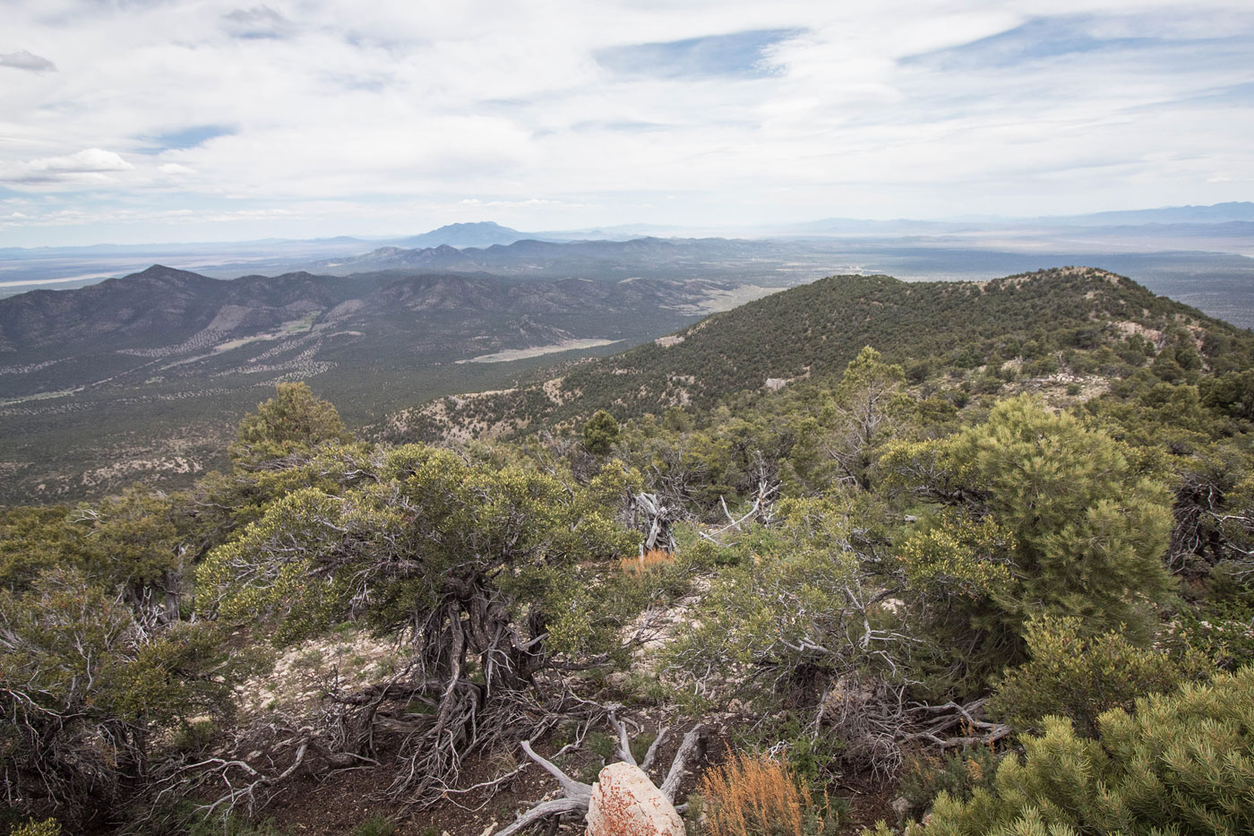 Hike Grassy Mountain in Fairview Range BLM - Stav is Lost