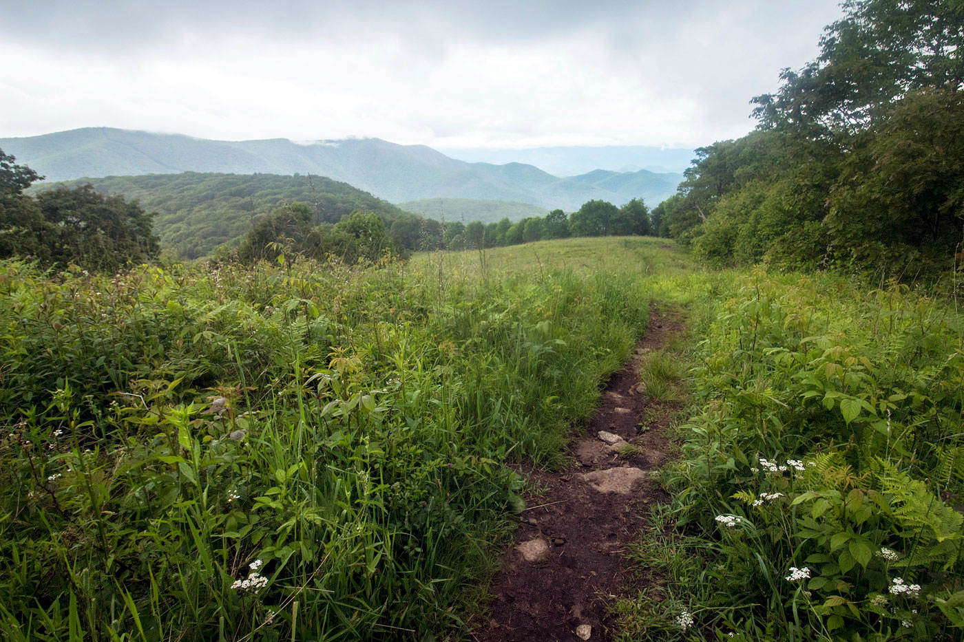 Hike Siler Bald and Wine Spring Bald in Nantahala National Forest ...