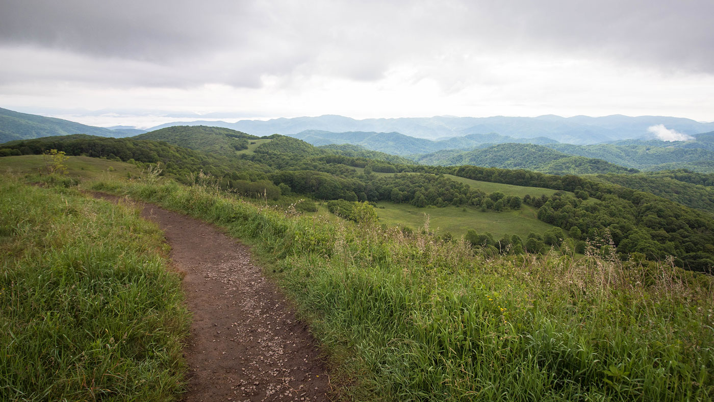 Hike Max Patch Mountain in Pisgah National Forest - Stav is Lost