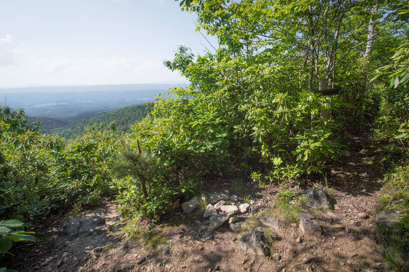 Hike Glade Mountain in Mount Rogers National Recreation Area - Stav is Lost