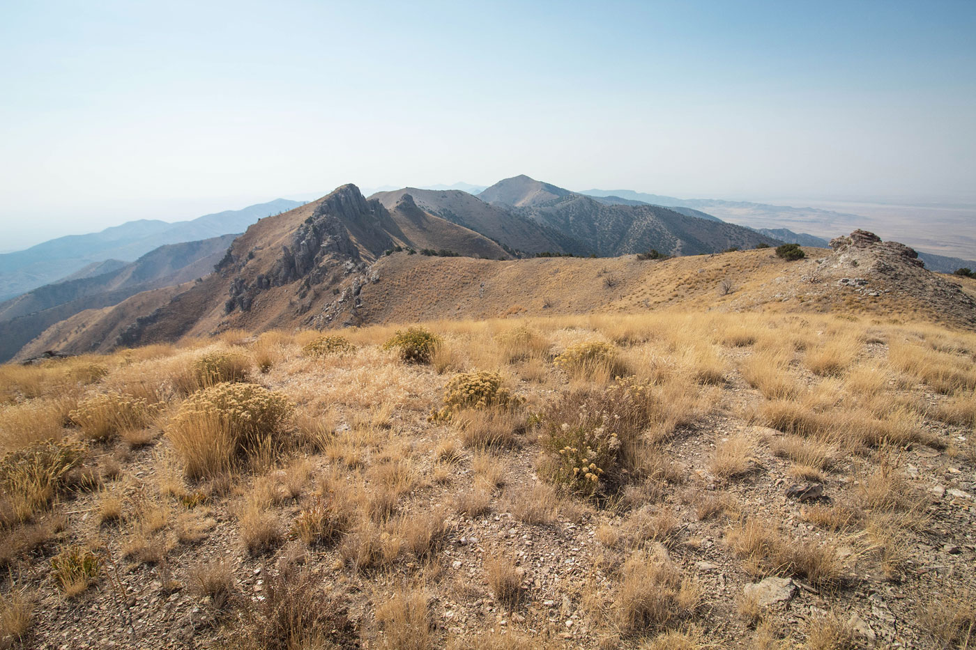 Hike Cedar Benchmark in Cedar Mountain Wilderness Area BLM - Stav is Lost