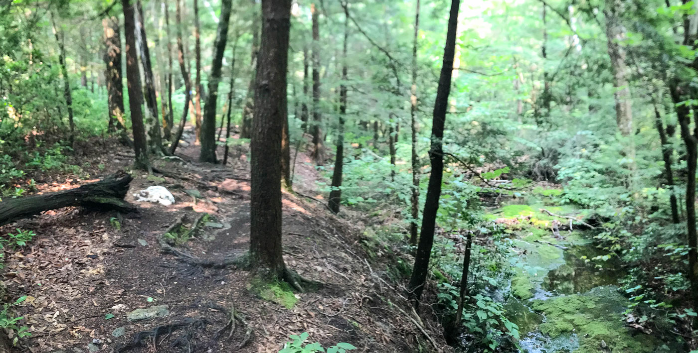 Hike Mount Everett and Mount Race via Race Brook Falls in Mount Everett ...