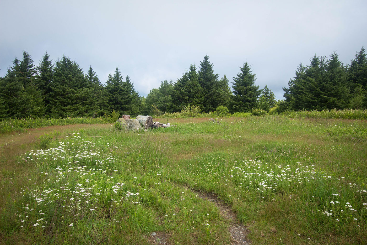 Hike Berlin Mountain via Taconic Crest Trail in Taconic State Forest ...