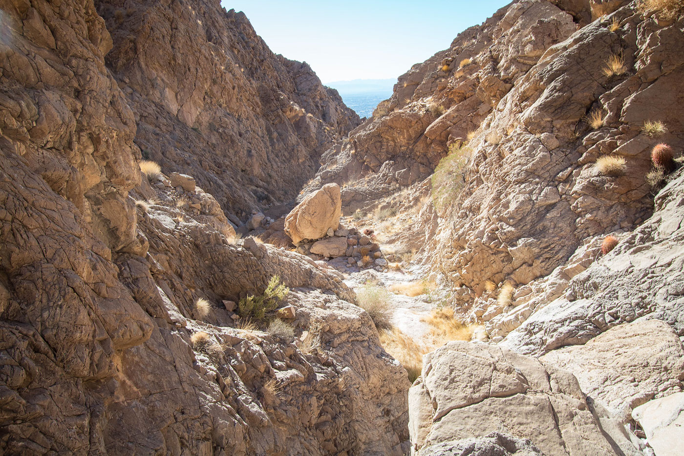 Hike Frenchman Mountain Canyon in Frenchman Mountain BLM - Stav is Lost