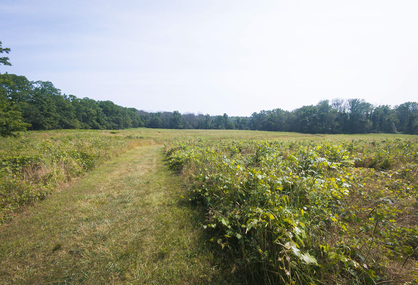 Hike Tatum Park and Deep Cut Gardens in Monmouth County Park System ...