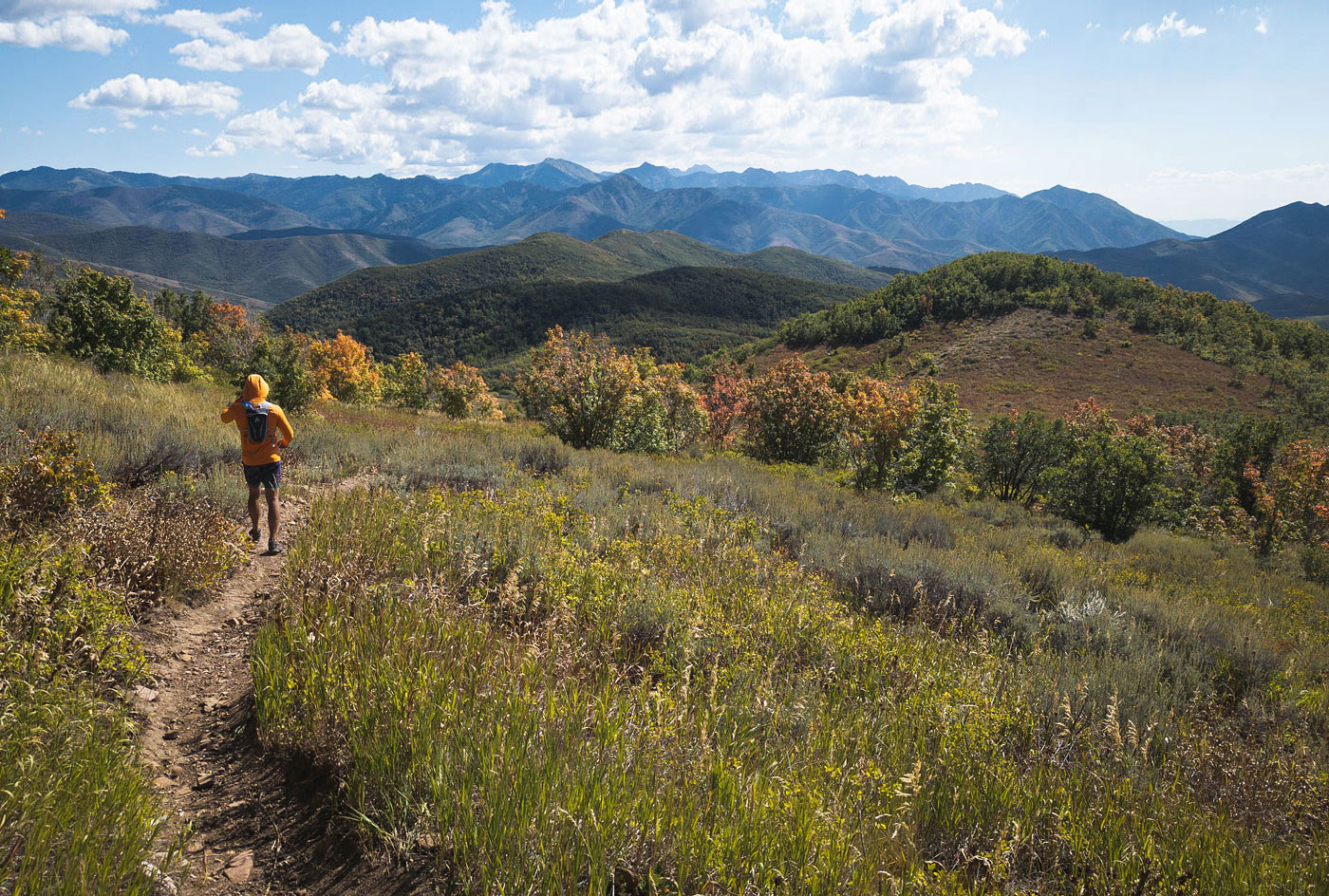 Hike Big Mountain, Swallow Rocks, Lookout Peak Loop in Uinta-Wasatch ...