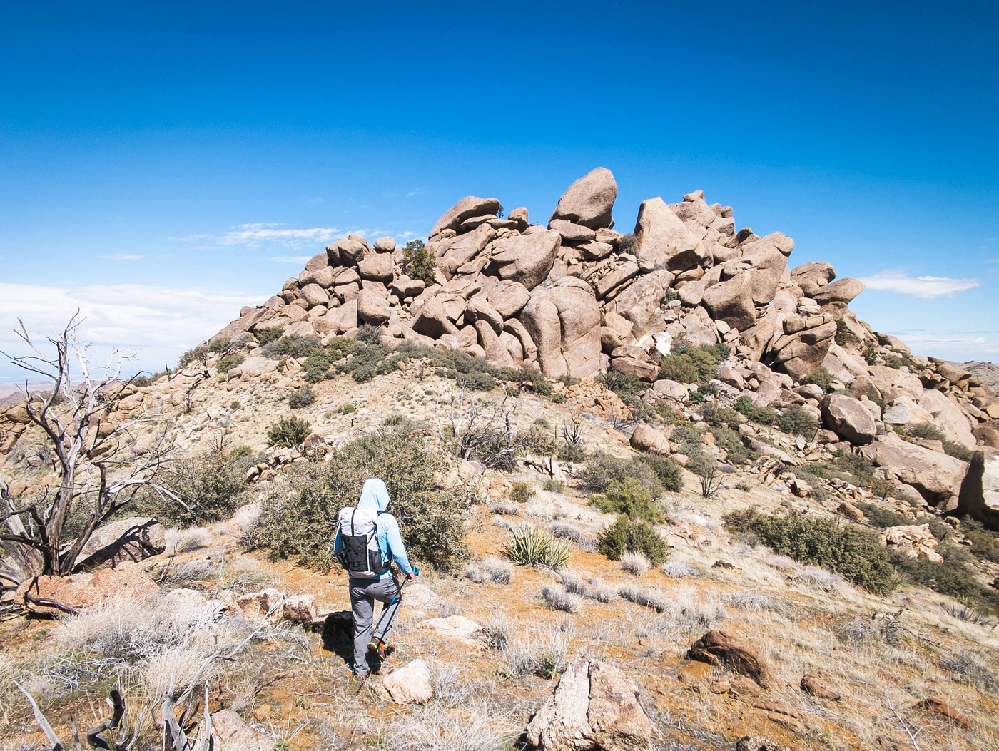 Hike Jumbo Peak and Playground Peak in Gold Butte National Monument ...