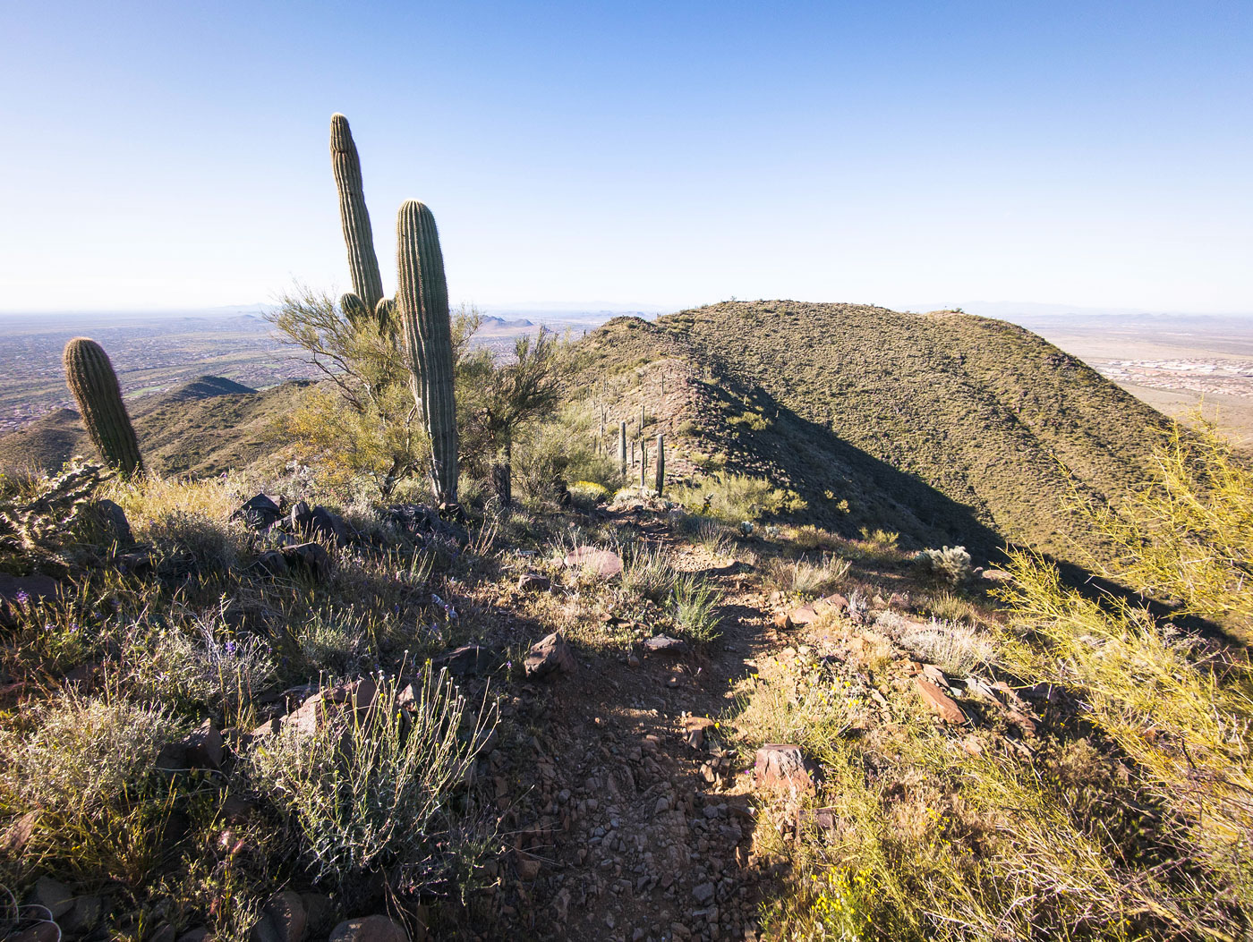 Hike Daisy Mountain in Arizona State Trust Land - Stav is Lost