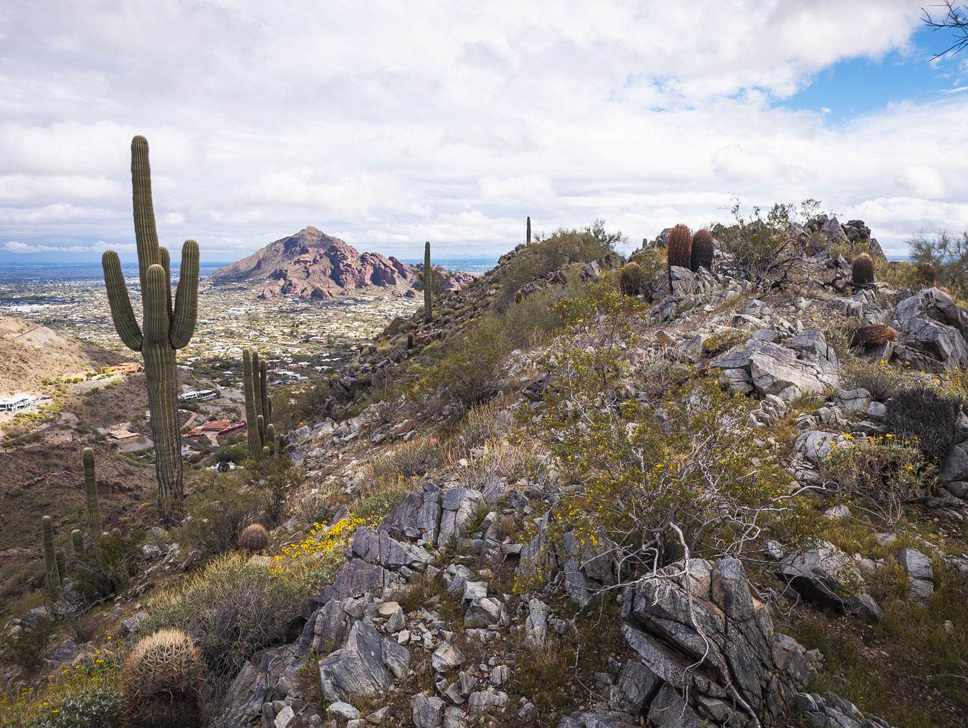 Hike TwoBit Peak and Phoenix Mountains Loop in Phoenix Mountains Preserve - Stav is Lost