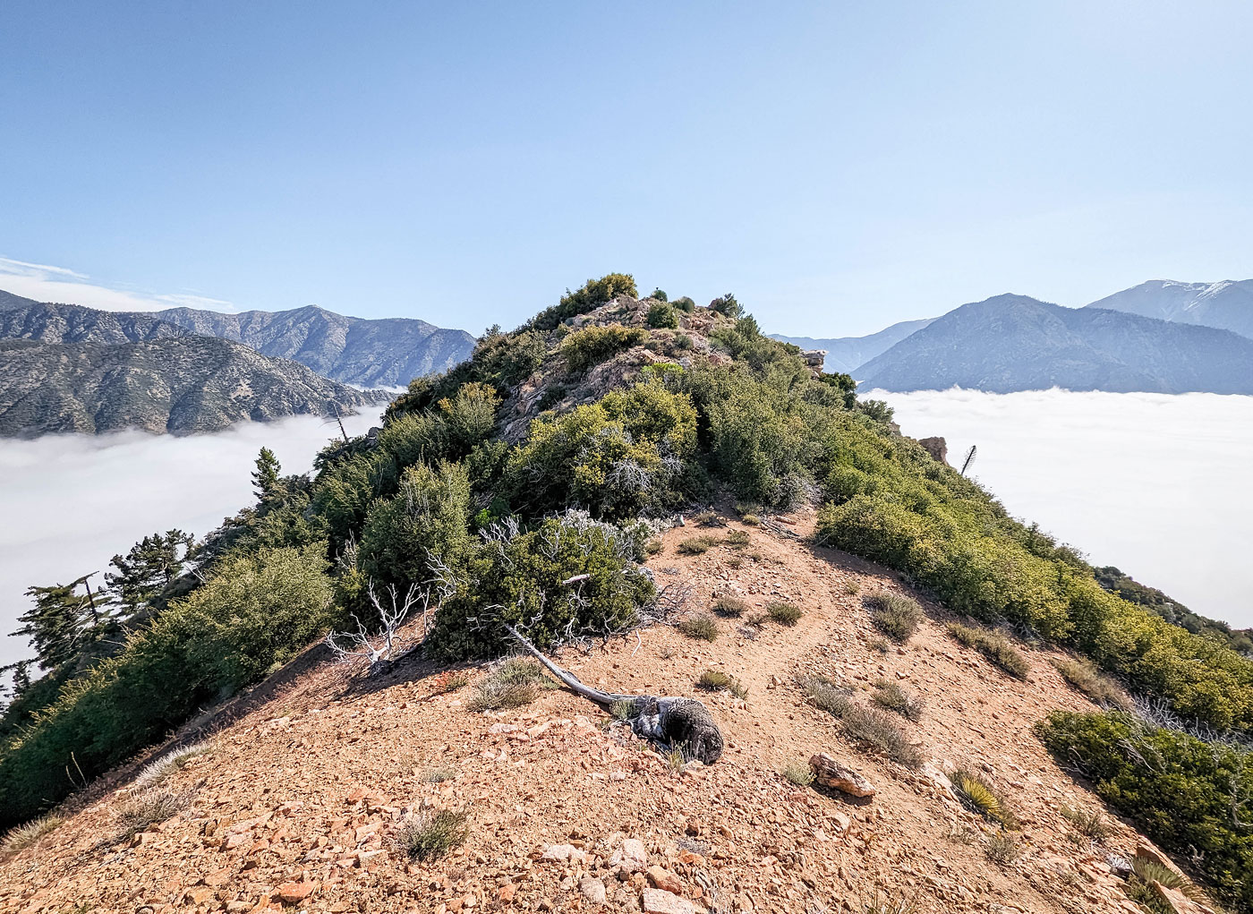 Hike Rattlesnake Peak in Angeles National Forest - Stav is Lost