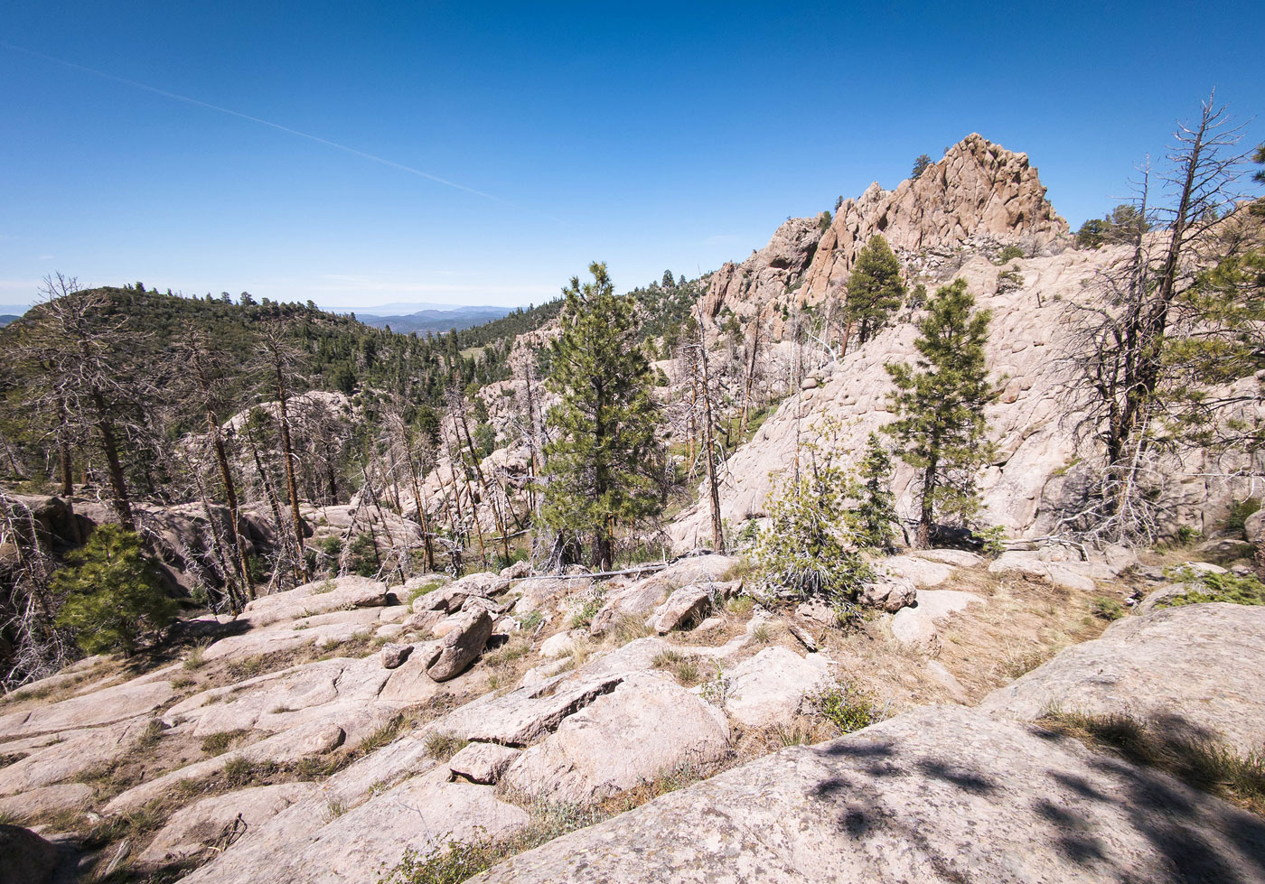 Hike Gardner Peak Trail in Dixie National Forest - Stav is Lost