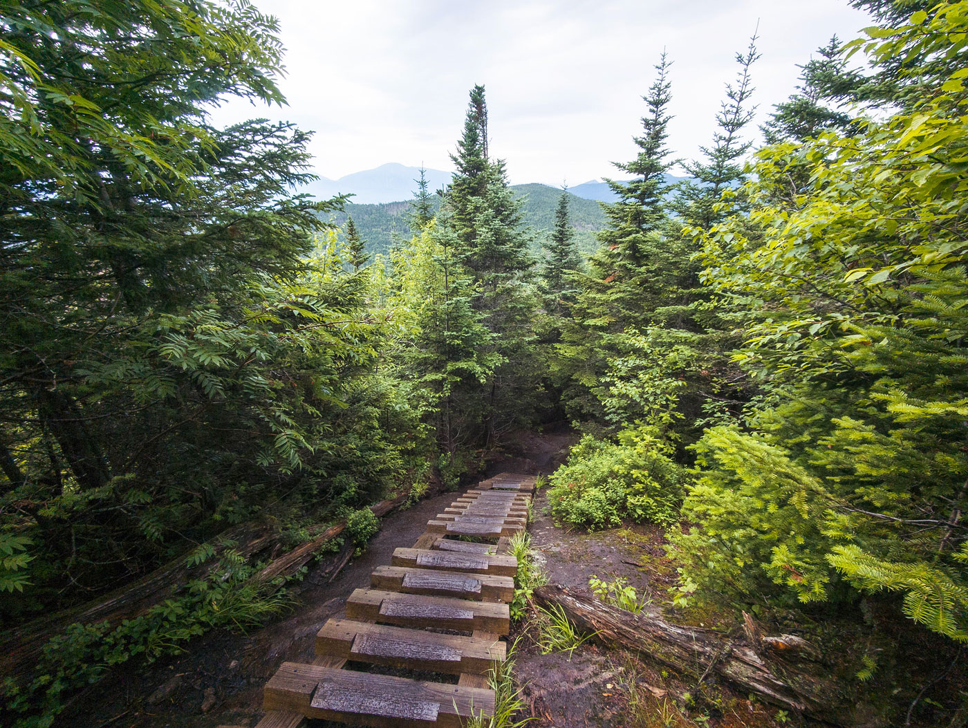 Hike Big Slide Mountain via The Brothers in Adirondack Park - Stav is Lost