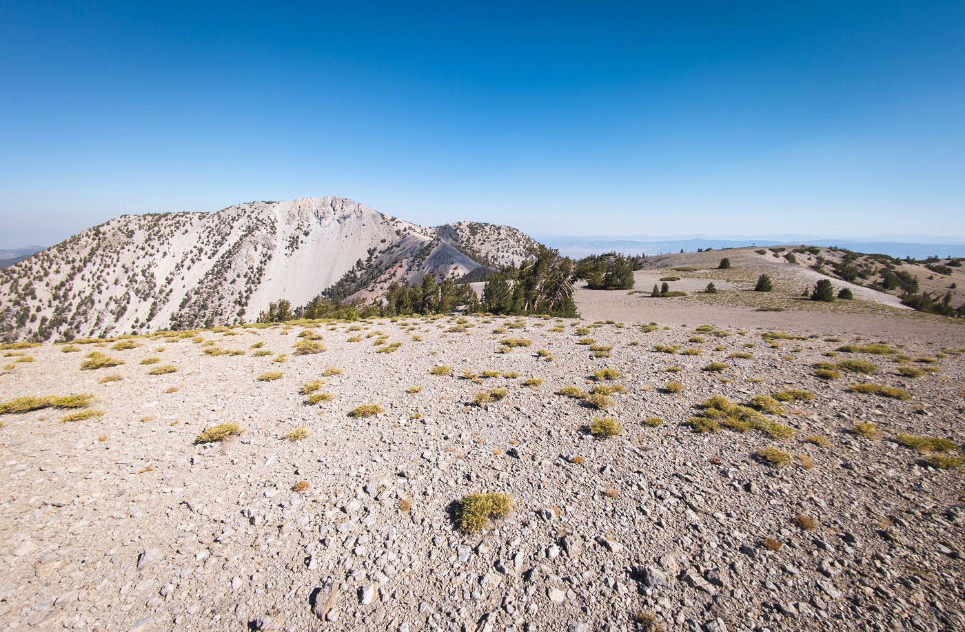 Hiking Glass Mountain in Inyo National Forest, California