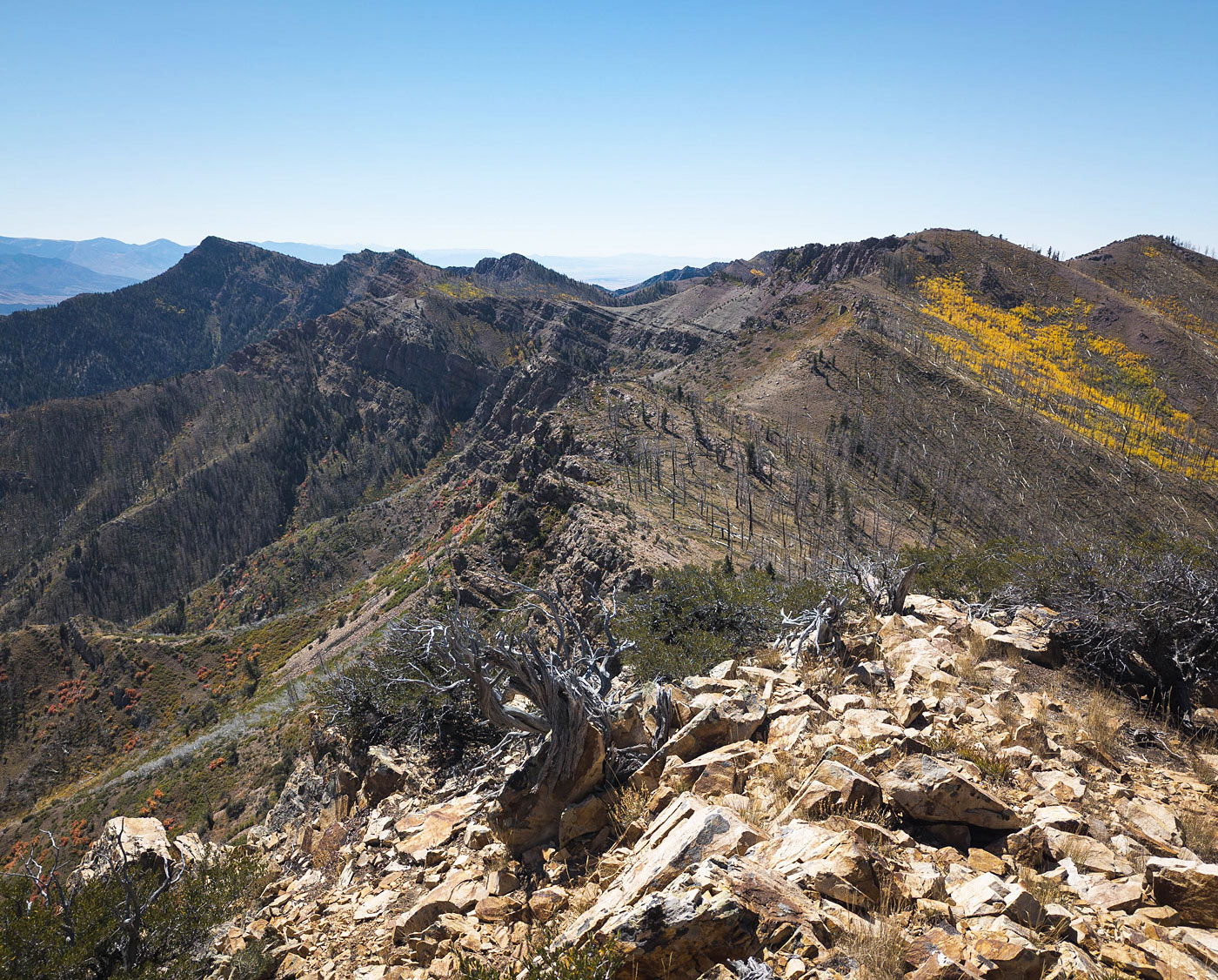 Hiking Map for Partridge Mountain and Central Canyon Mountains
