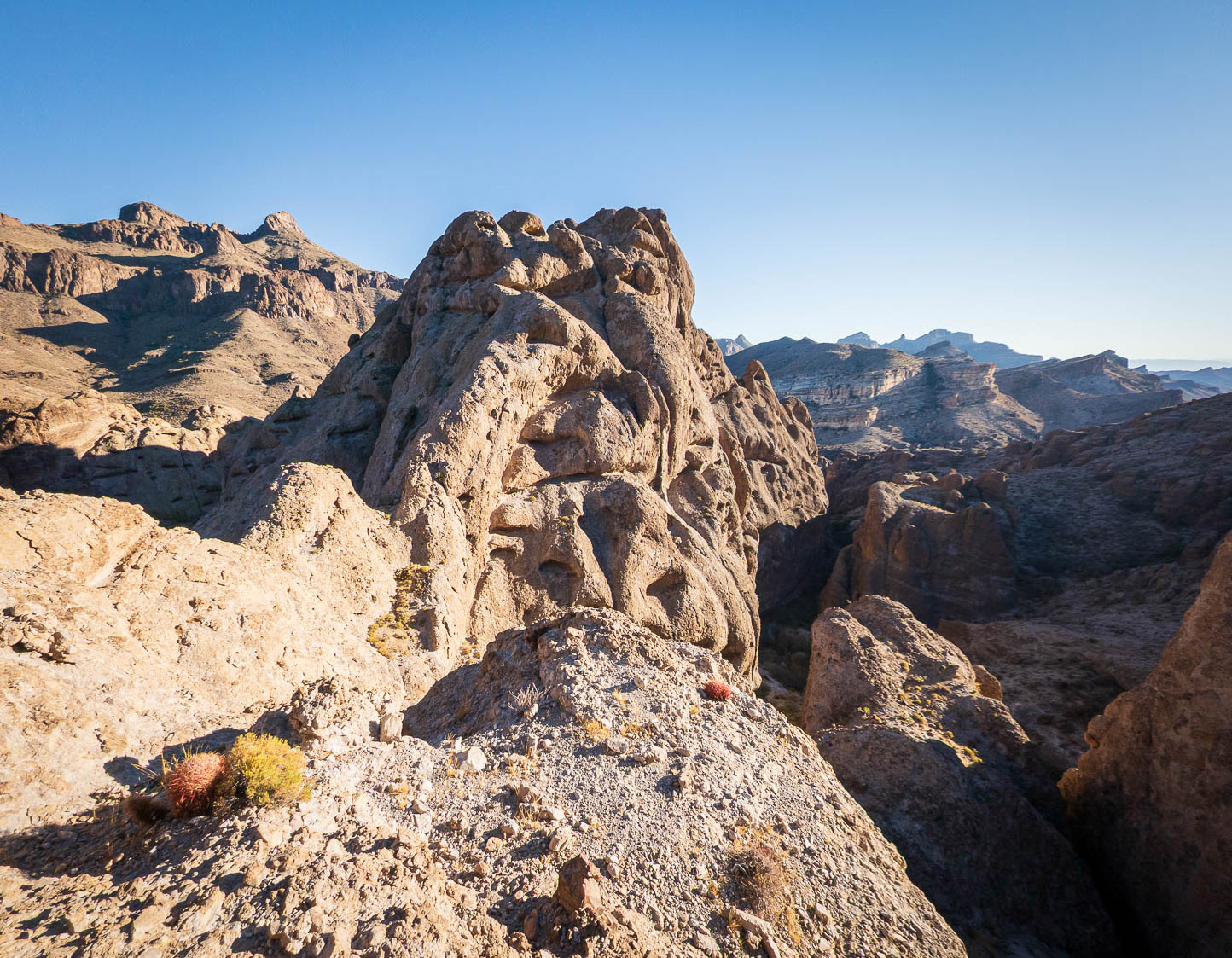 Hike Pecan Peak (Peak 3680) in Mount Nutt Wilderness BLM - Stav is Lost